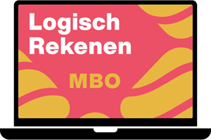 Studyflow Logisch Rekenen – MBO 12 mnds Meerkantoor